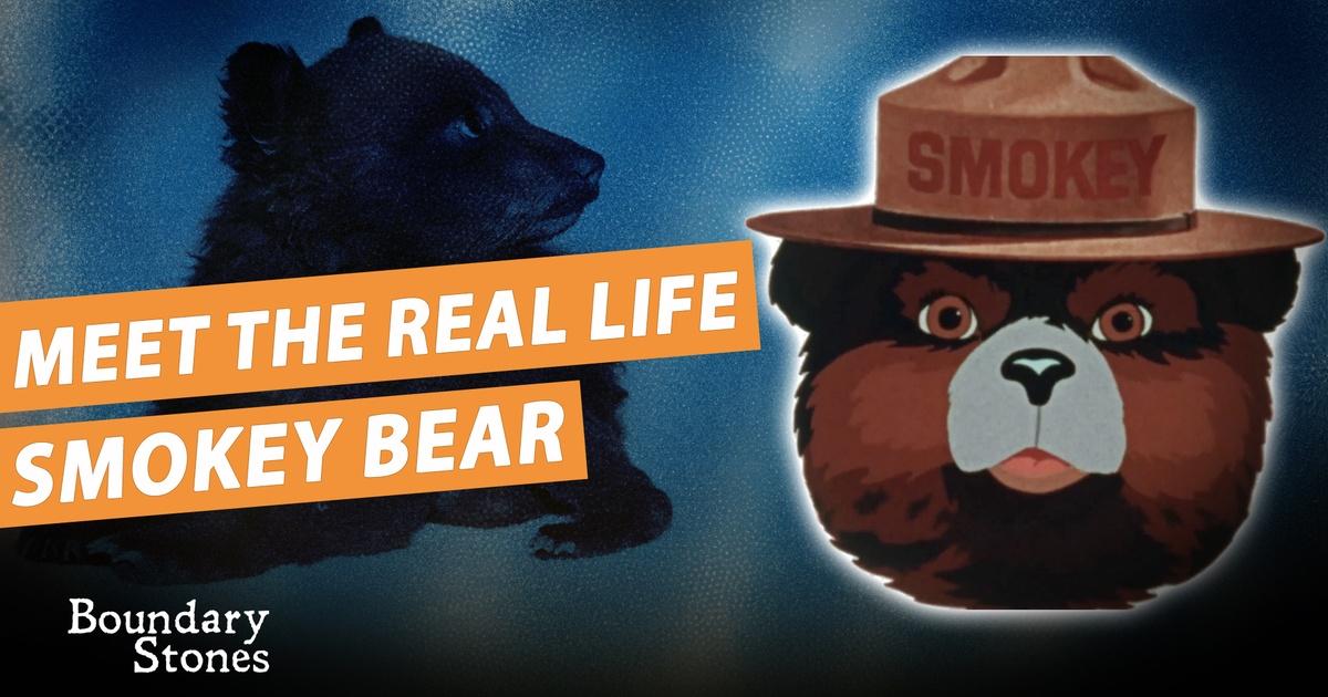 Boundary Stones | How Smokey Bear Became an Icon and a Real Life ...