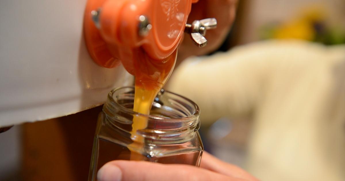 Making It | Celebrating Jewish community with honey from Bee Awesome ...