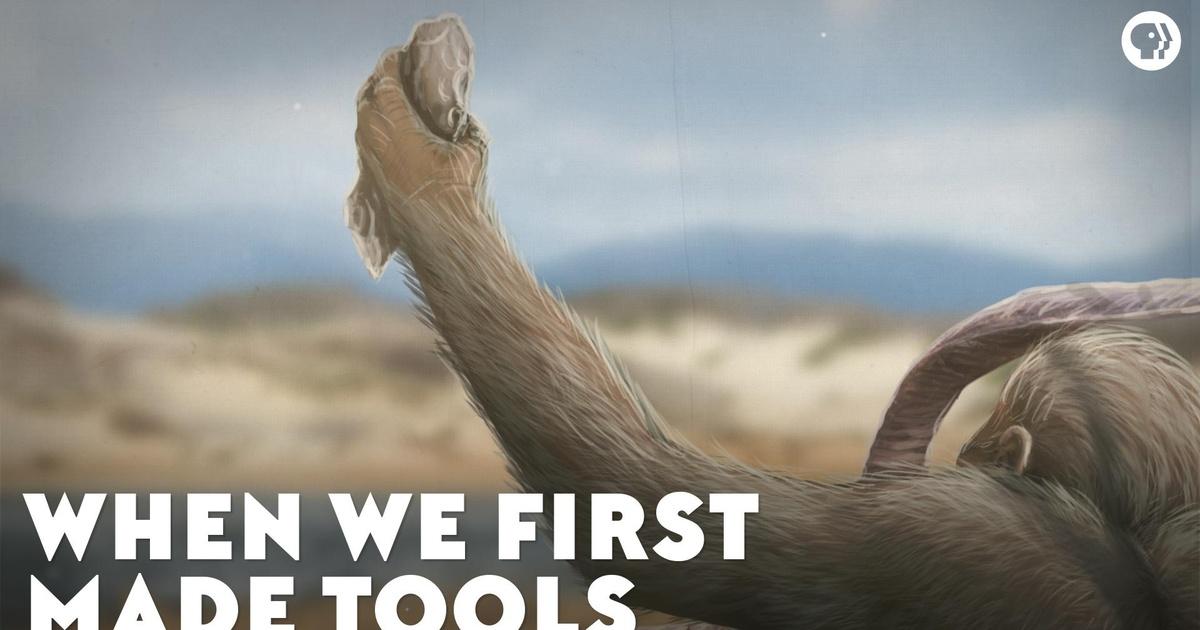 Eons | When We First Made Tools | Season 2 | Episode 16 | PBS