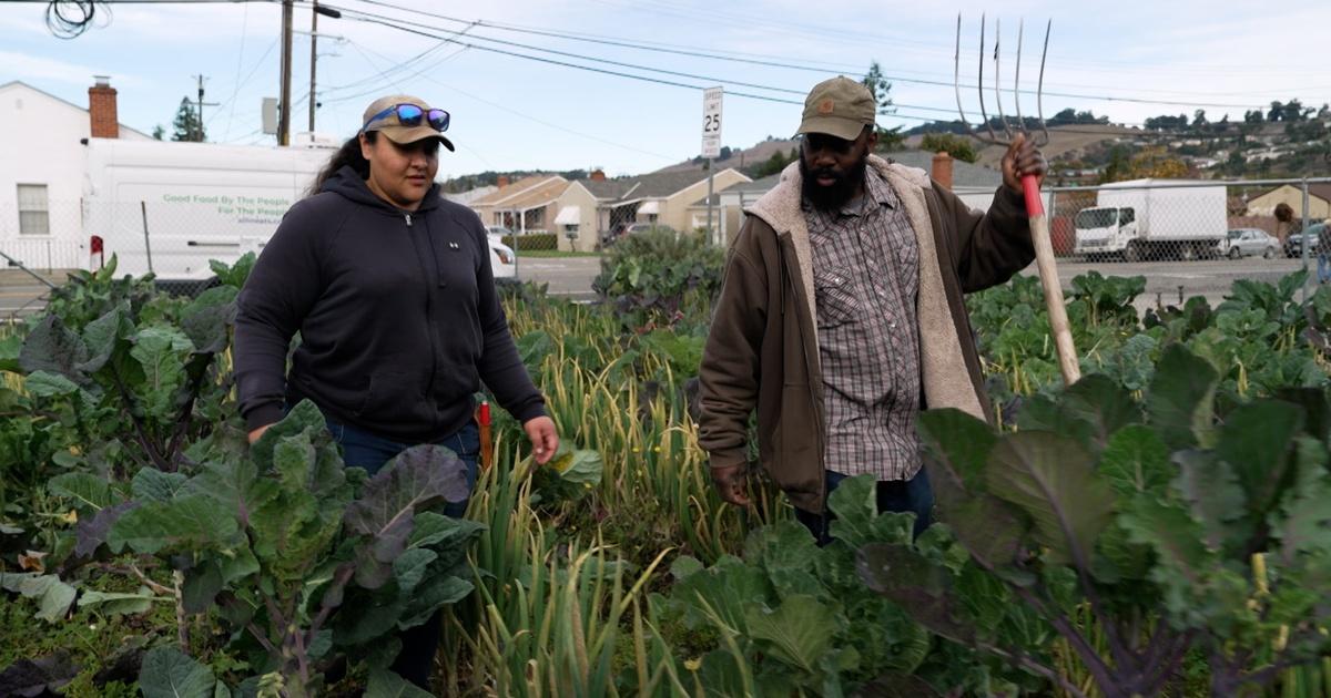 America's Heartland | Dig Deep Farms | Season 18 | PBS