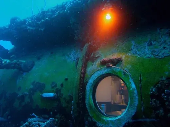 NOVA | Ocean Invaders | Season 49 | Episode 16 | PBS