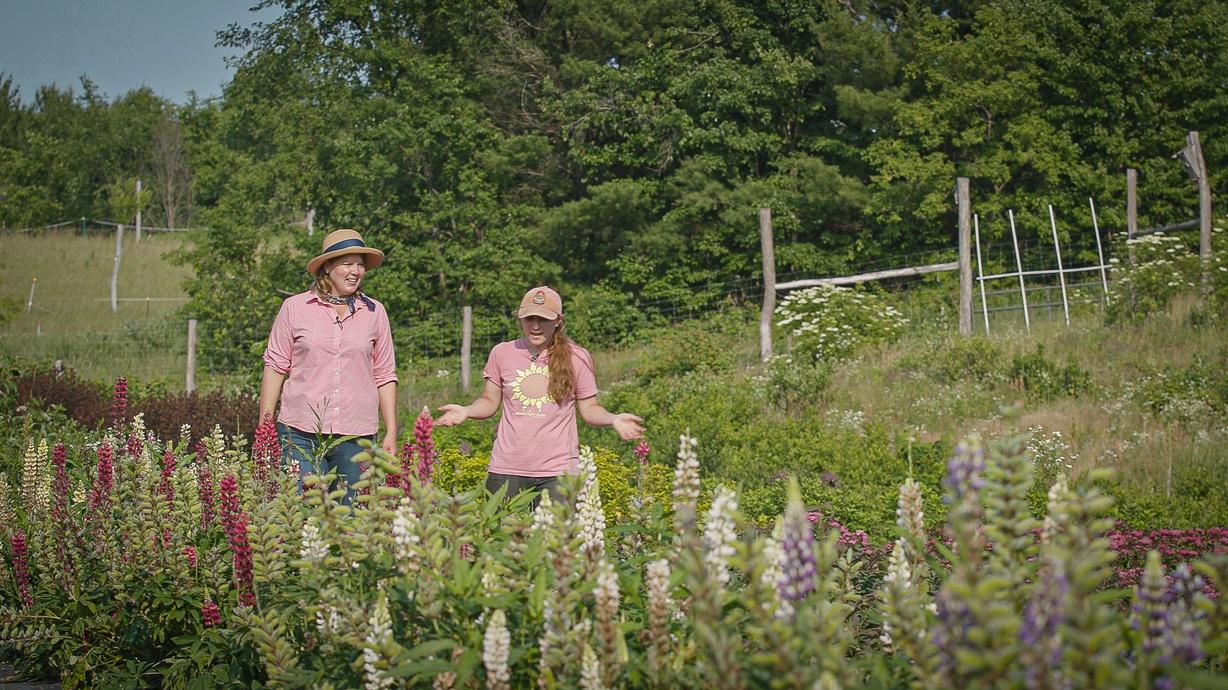 Growing flowers on Green Light Farm | Watch Around the Farm Table on ...