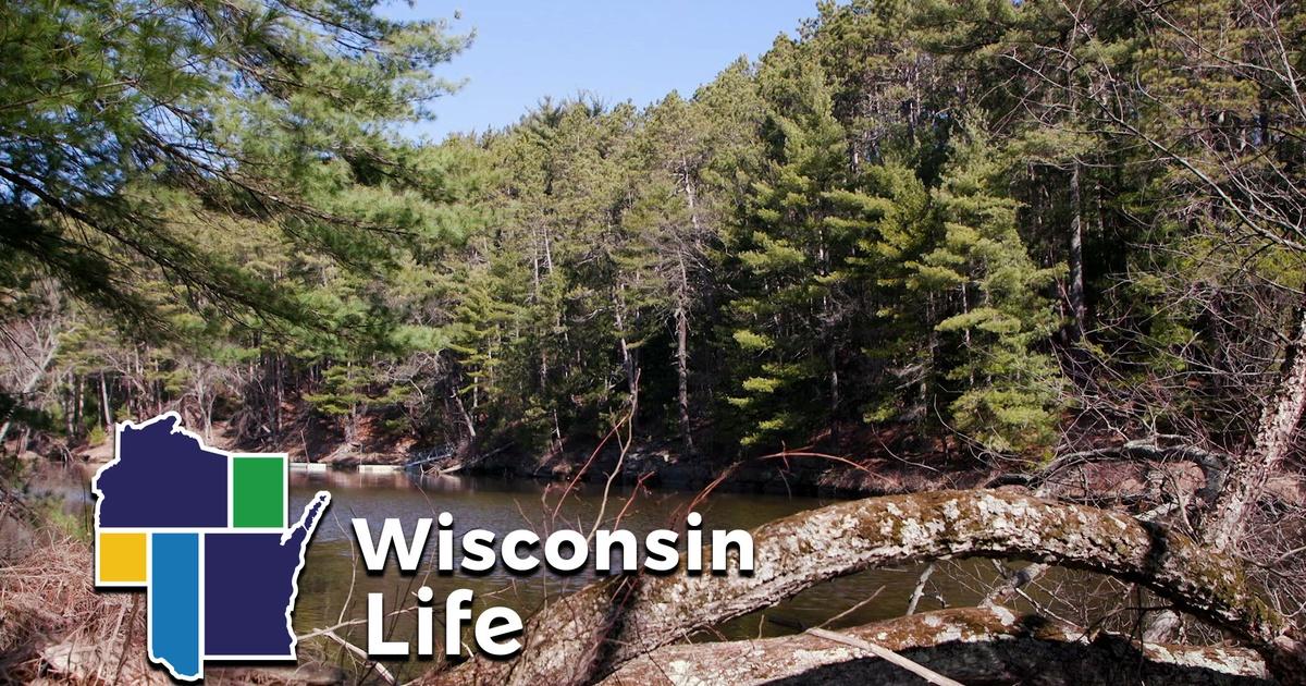 Wisconsin Life | Preview: Upham Woods Outdoor Learning Center | Season ...