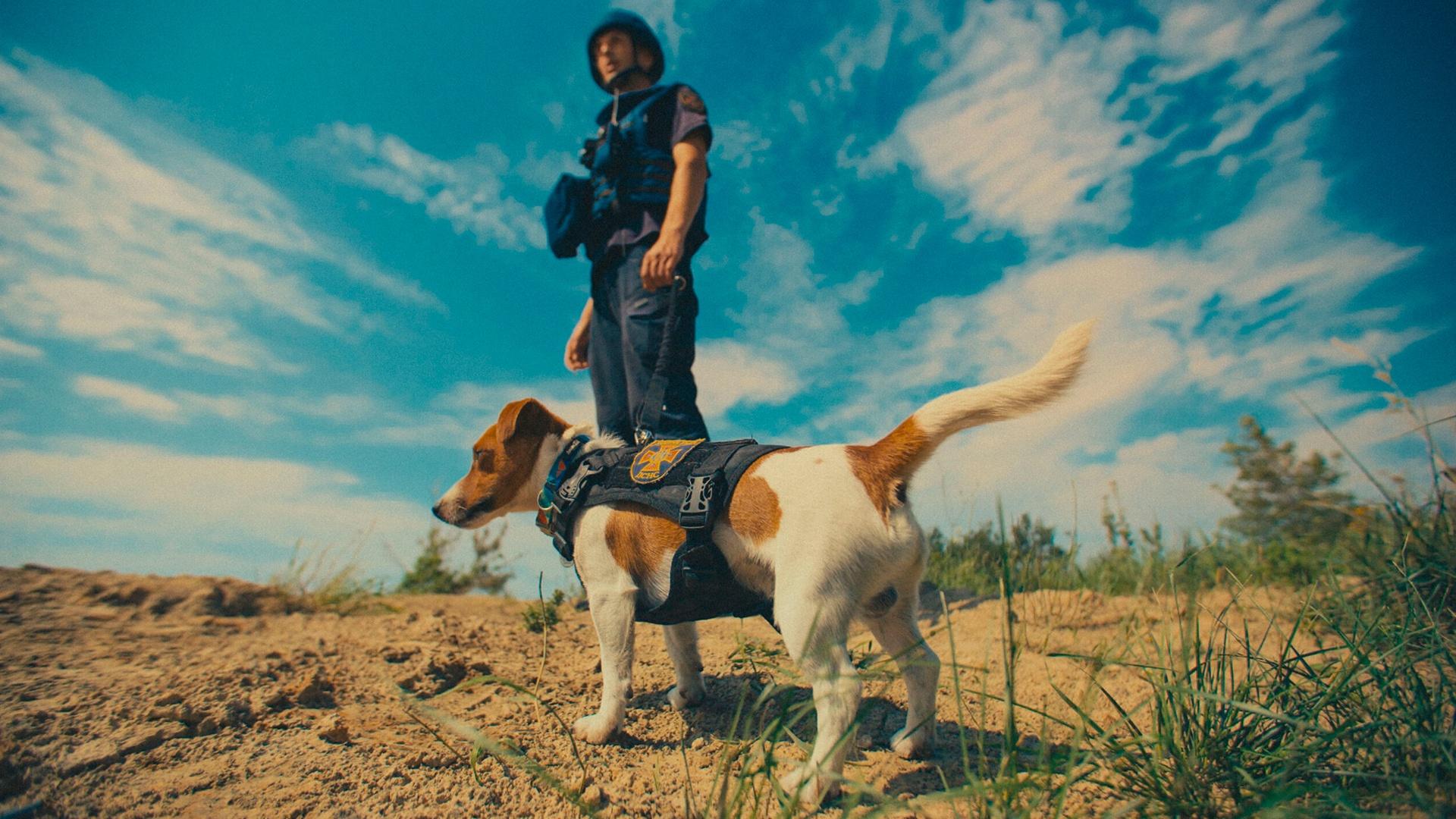 Preview of Saving the Animals of Ukraine | Nature | THIRTEEN - New York ...