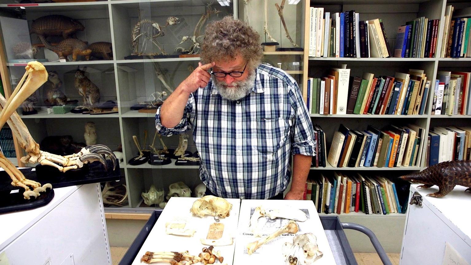 Mossback's Northwest | Bertha’s Legacy: Seattle’s First Female Mayor ...