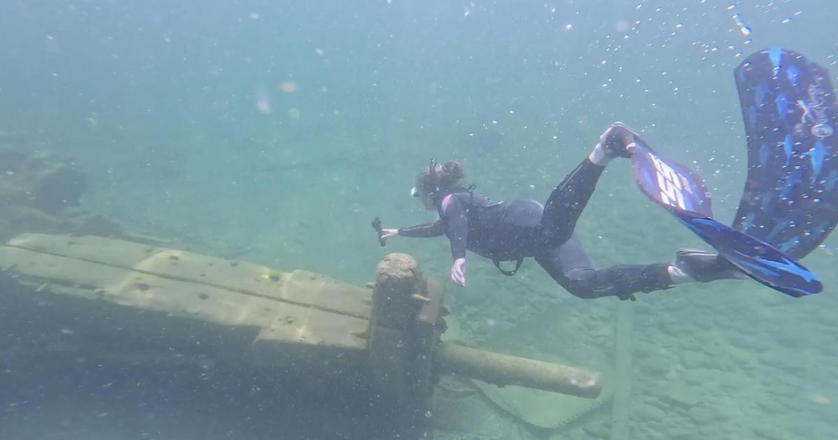 Great Lakes Now | Lost Ships and Newsworthy Trees | Season 5 | Episode ...