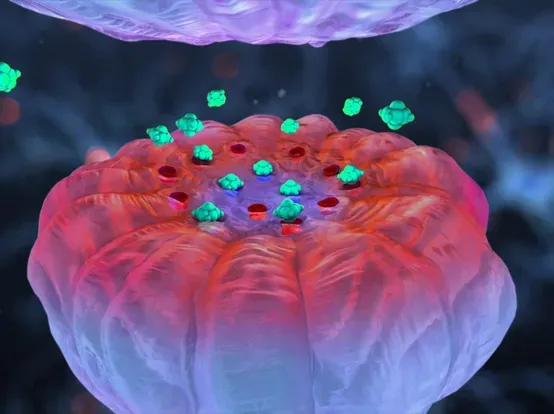 NOVA | The Cannabis Question | Season 48 | Episode 11 | PBS