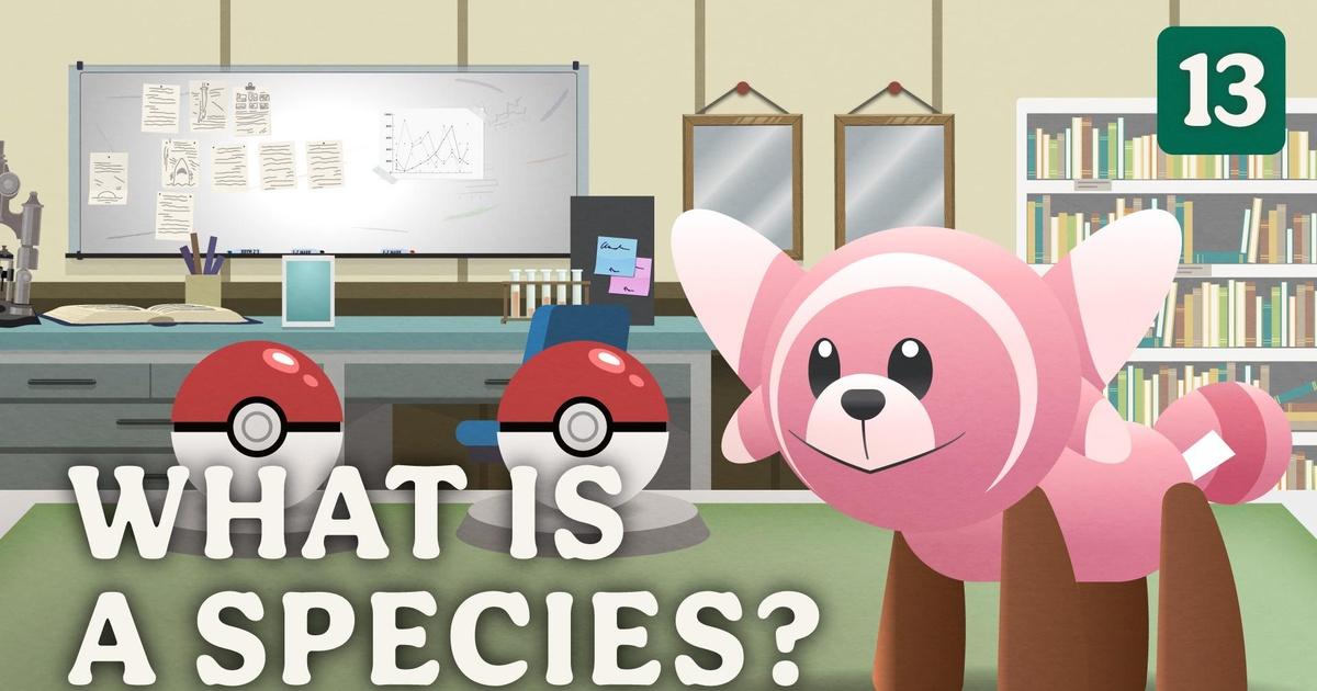 Crash Course Zoology | What is a Species? | Episode 13 | PBS