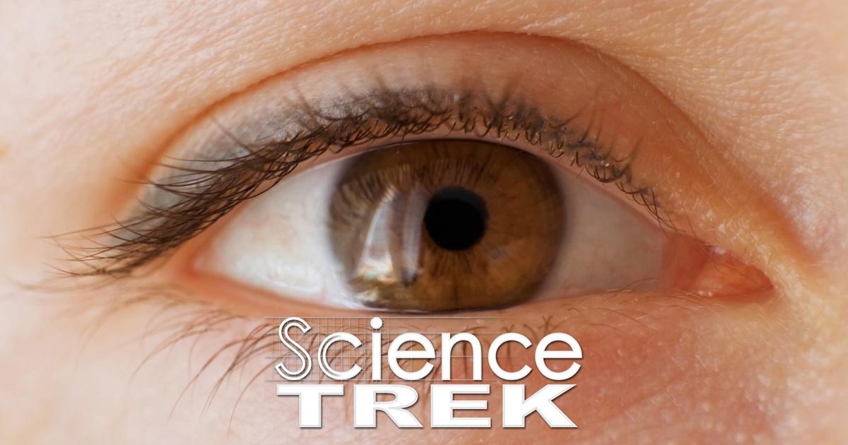 Science Trek | Five Senses: Most Important Sense | WGCU-PBS