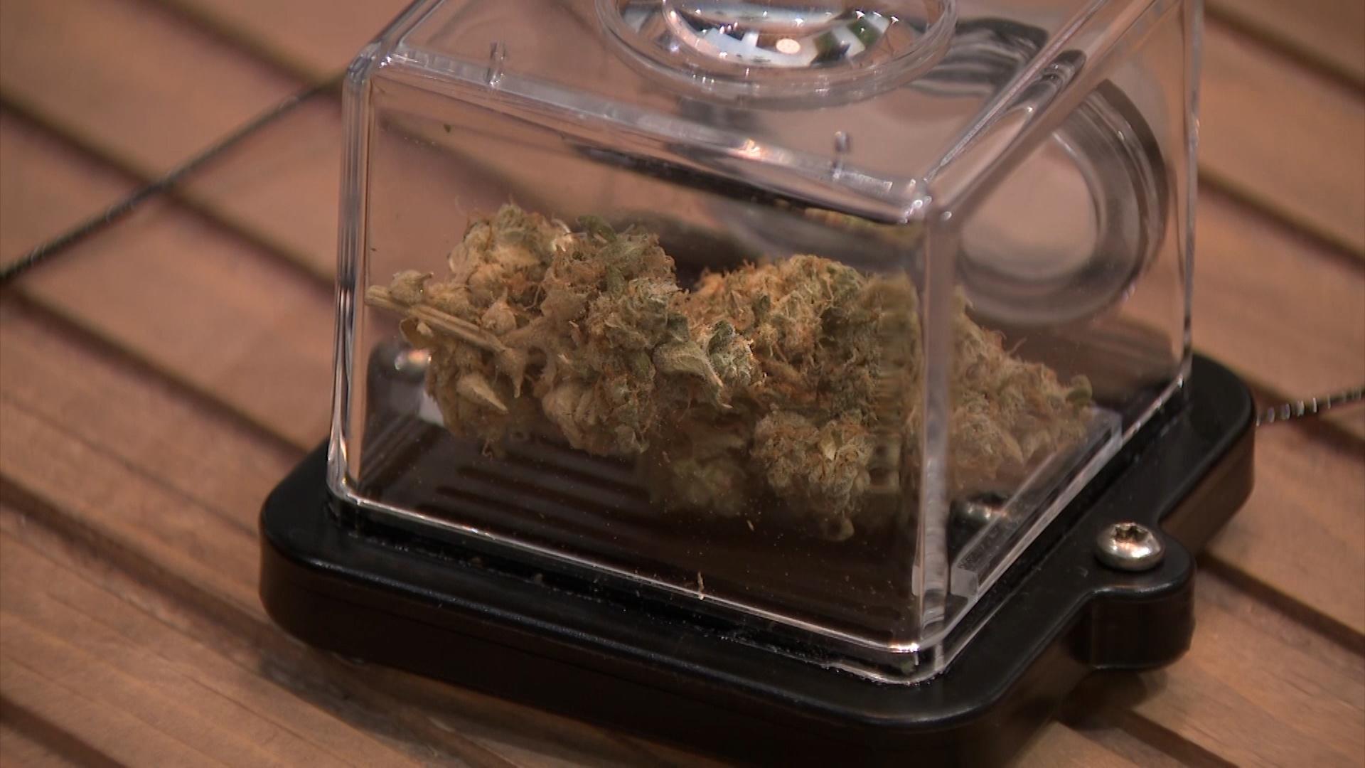 Push to raise state fees on legal marijuana on hold | NJ Spotlight News | NJ PBS