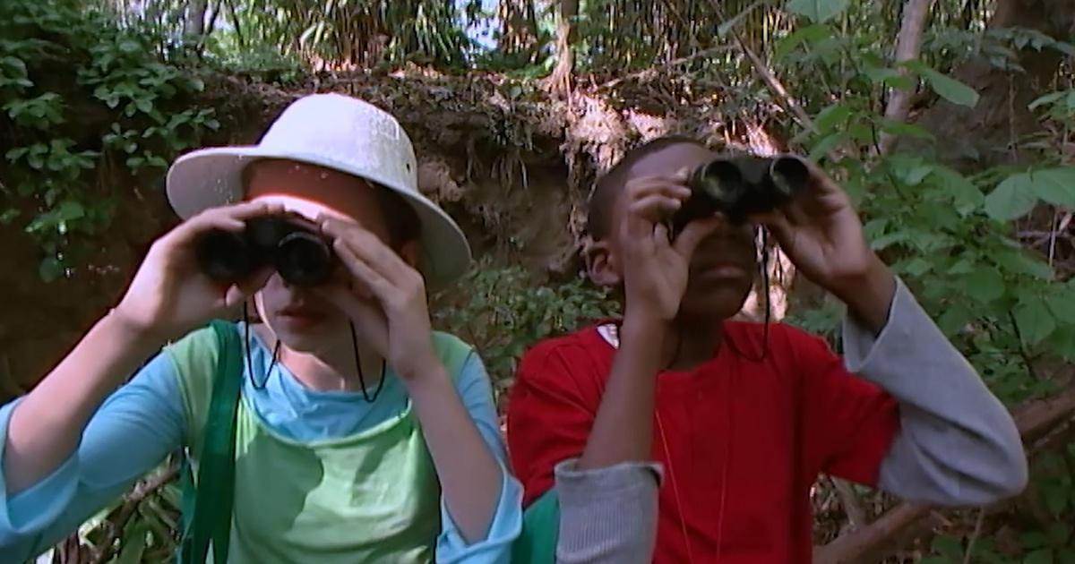 DragonflyTV | Biodiversity | Season 5 | PBS