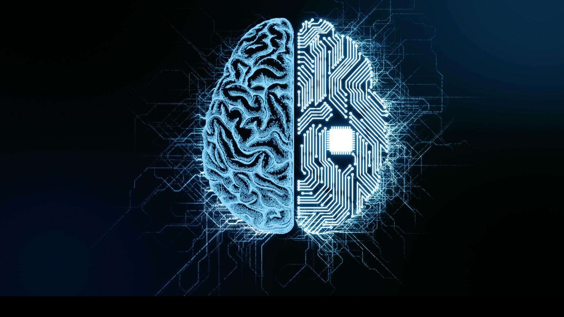 S45 E104: Can We Build a Brain? Preview | Watch NOVA PBS Full Episodes
