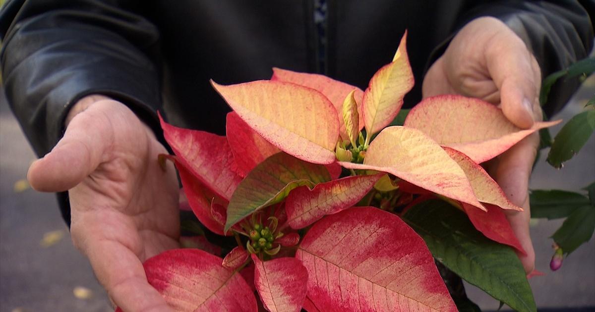 Volunteer Gardener | Volunteer Gardener 3210 | Season 32 | Episode 3210 ...