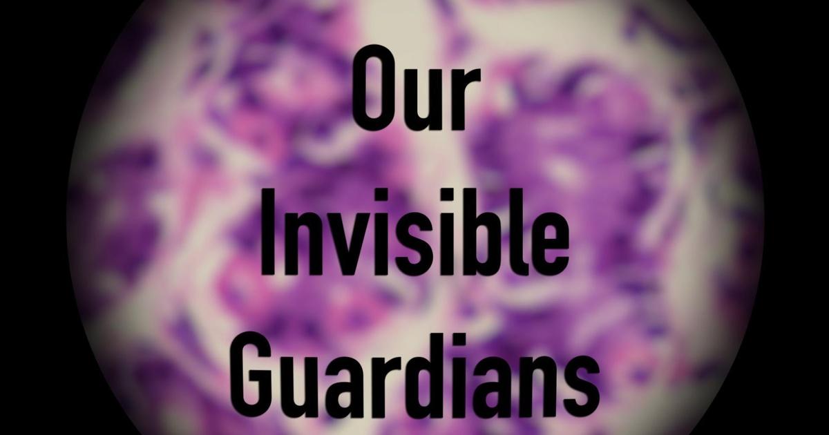 Our Invisible Guardians | Our Invisible Guardians | Promo | PBS