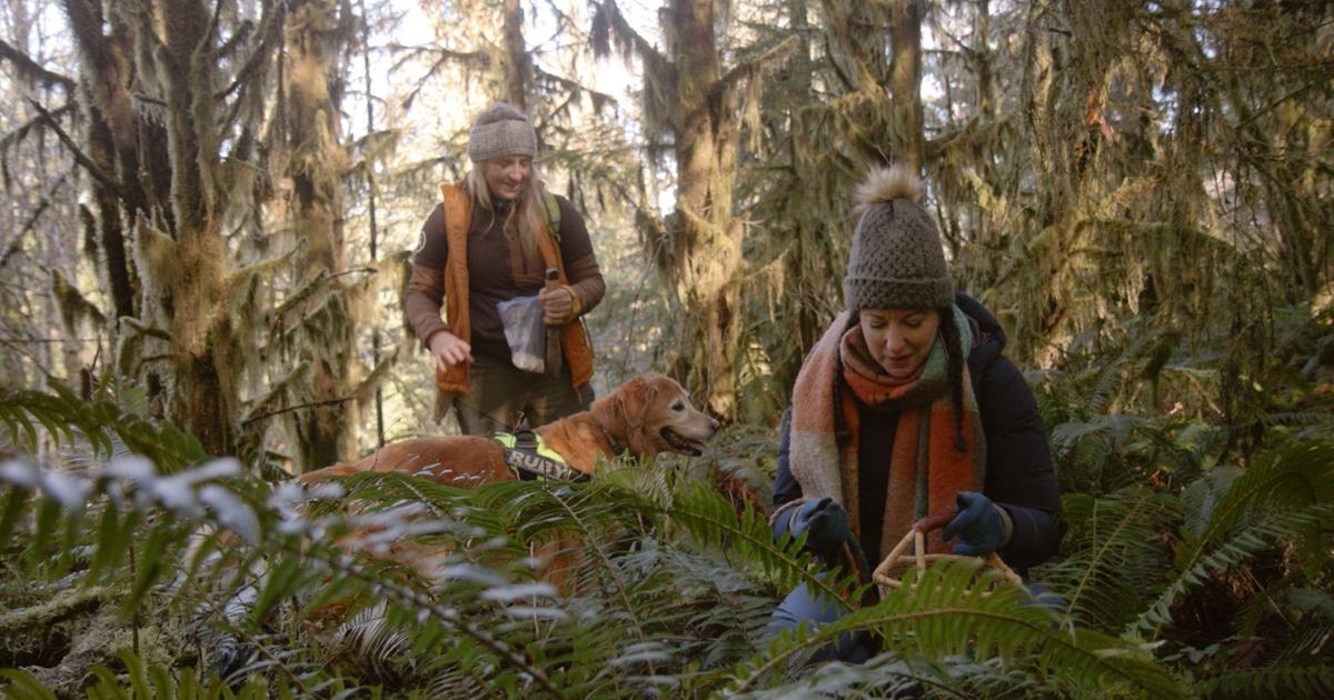 The Nosh with Rachel Belle | PBS