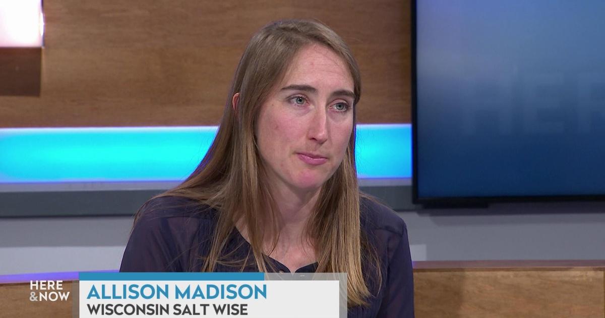 Here and Now | Allison Madison on Cutting Winter Road Salt to Protect Water | Season 2100 ...