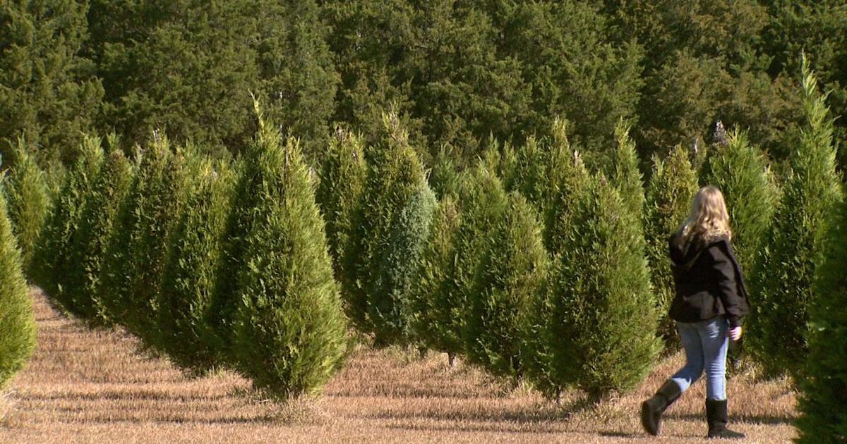 North Carolina Weekend | Mike's Farm | Season 19 | Episode 8 | PBS