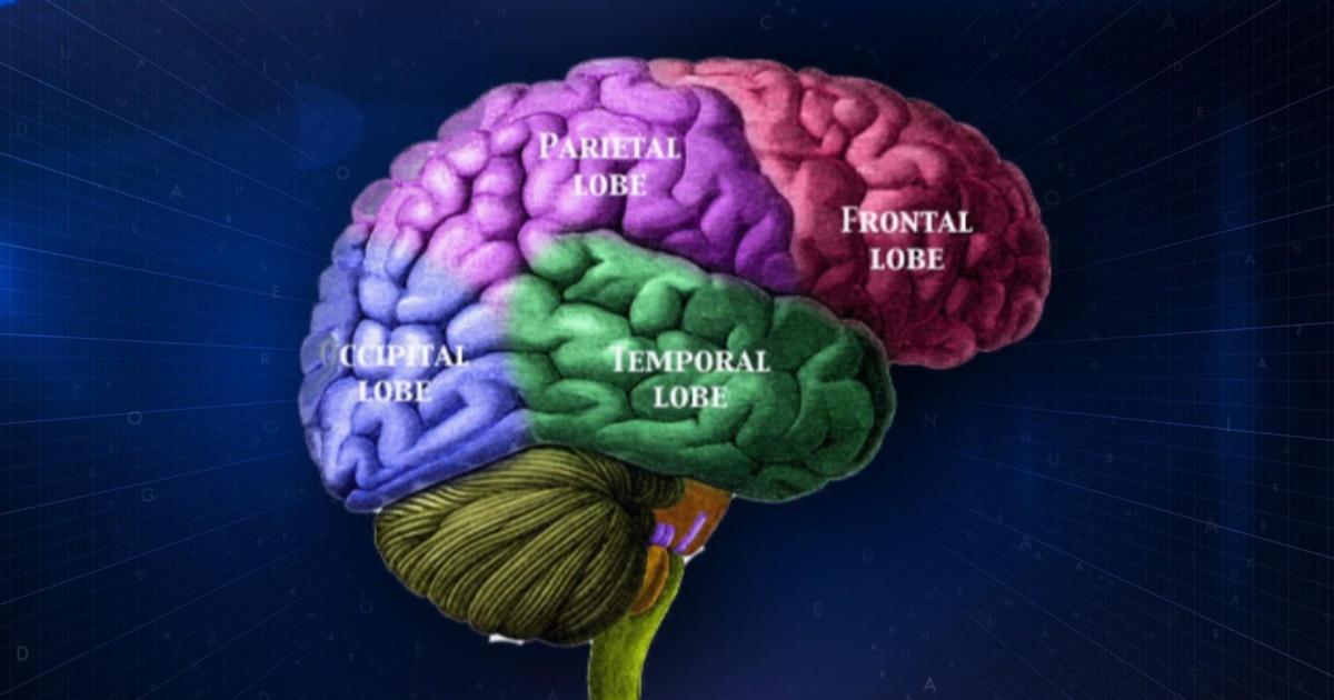 SciTech Now | A memory boosting brain implant | Season 4 | Episode 34 | PBS