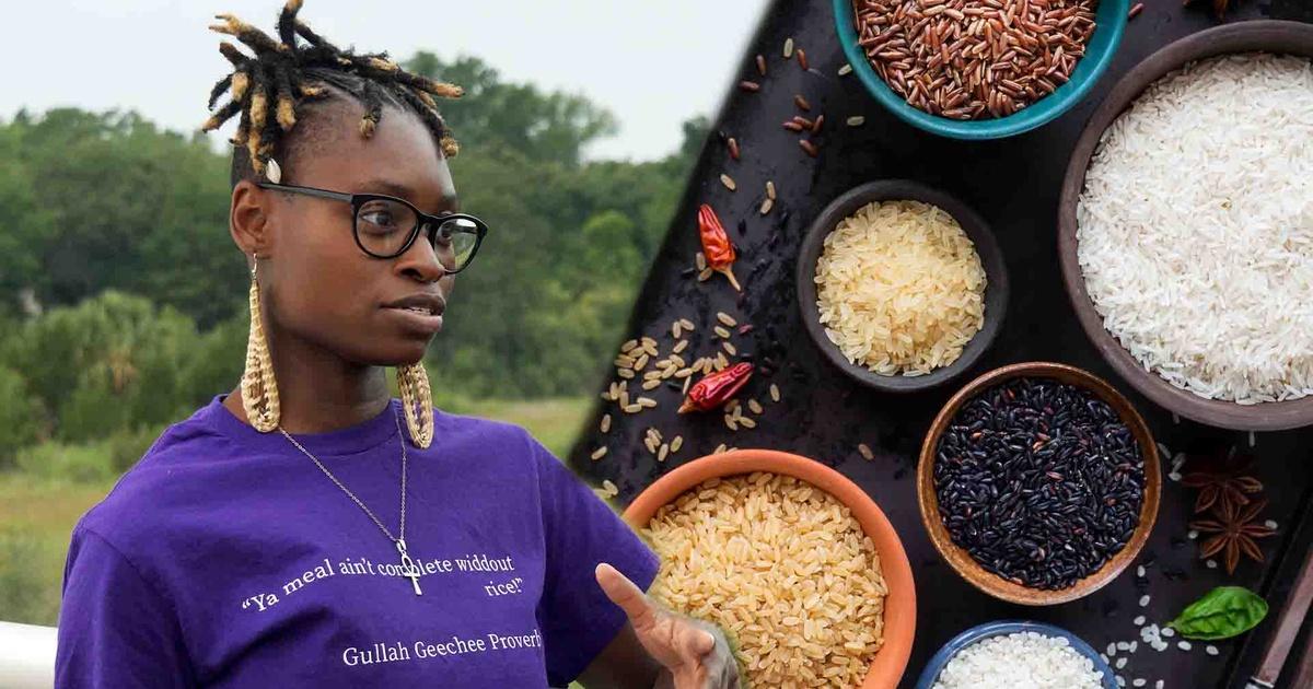 Hungry Planet | How Rice is Preserving History and Rethinking Nutrition ...