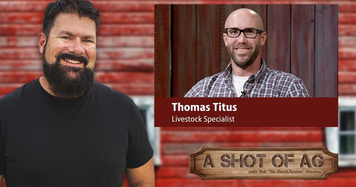 A Shot of AG | Thomas Titus | Livestock Specialist | Season 4 | Episode 26 | PBS