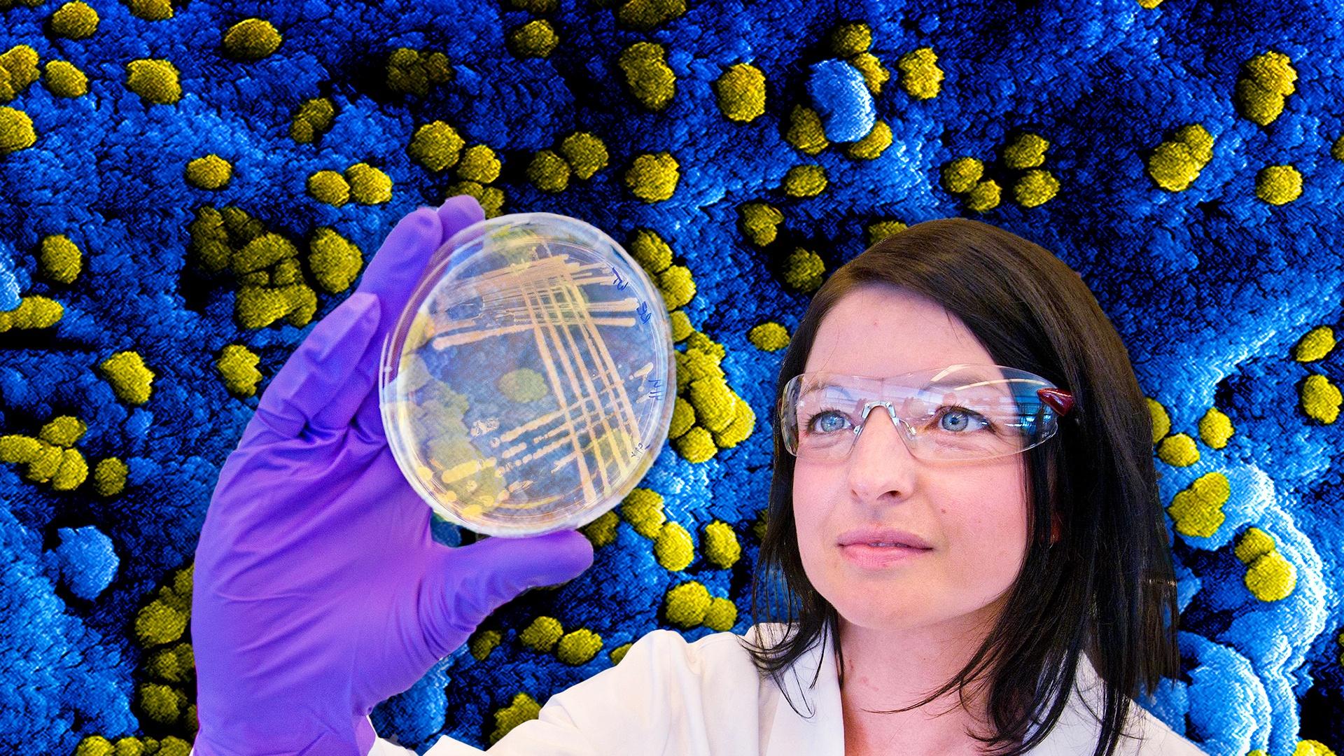 How We Discovered Germs | Origin of Everything | ALL ARTS