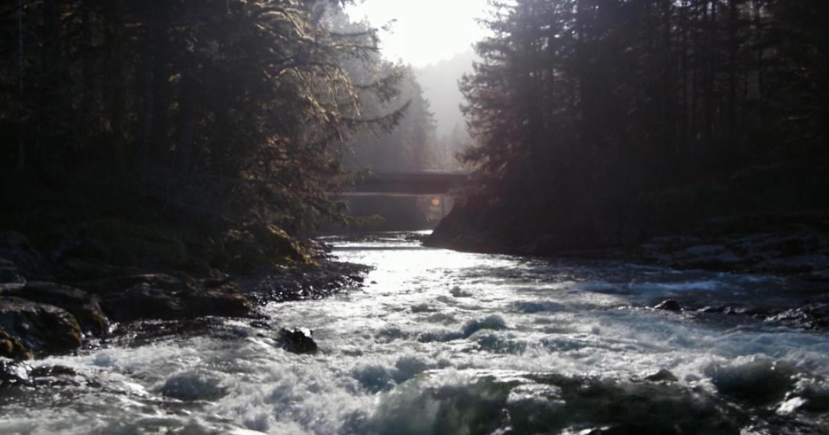 Oregon Field Guide | Wilson River Photo Essay | Season 33 | Episode 9 | PBS