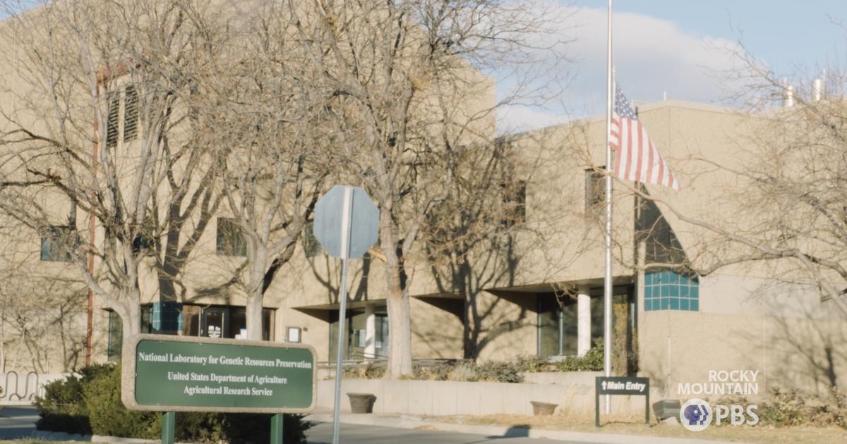 Colorado Voices | One of the largest gene banks is in Colorado | PBS