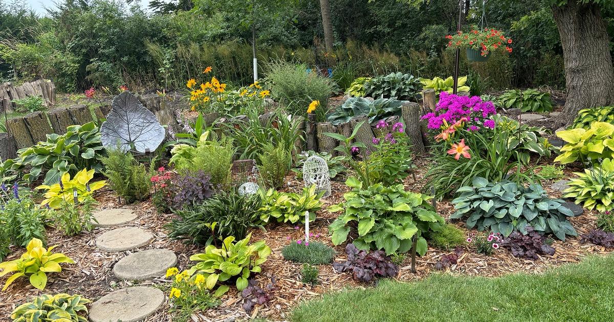 Prairie Yard & Garden | 60 Years of Garden Tips | Season 38 | Episode ...