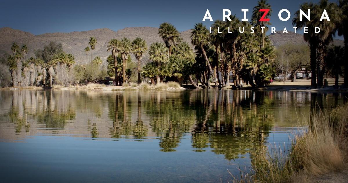 Arizona Illustrated | Wings, Plants, Agua Caliente | Season 2022 ...