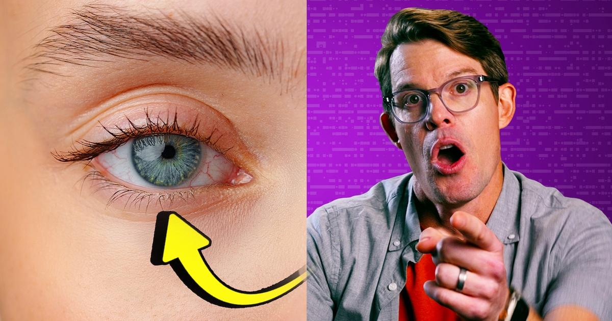 Be Smart | (Almost) Everything You Learned About Genetics Is Wrong | Season 13 | Episode 13 | PBS