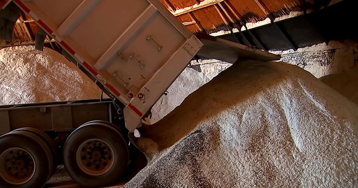 Ideas | Rock salt shortage impacting Northeast Ohio | Season 2026 ...