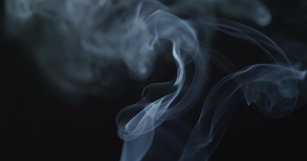 NOVA | The Cannabis Question Preview | Season 48 | Episode 11 | PBS