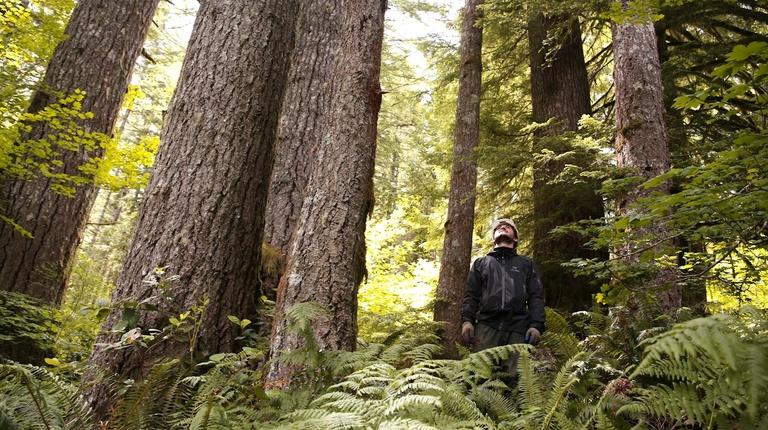 Oregon Field Guide | OPB