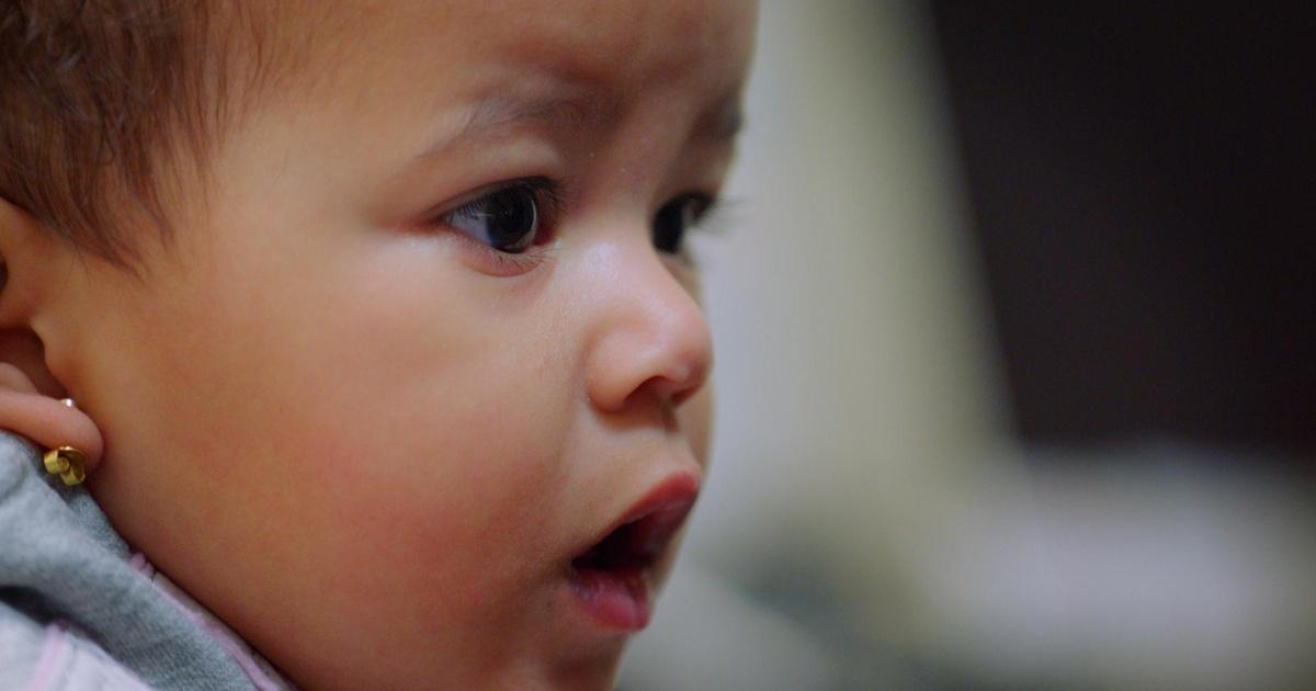 NOVA | Are Babies Capable of Making Moral Judgements? | Season 46 ...