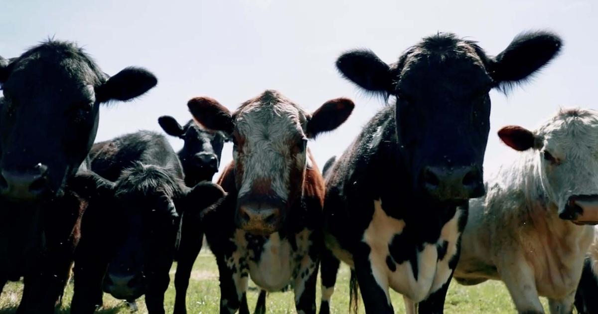 Life in Virginia's Appalachia | Life in Virginia's Appalachia: Farming ...