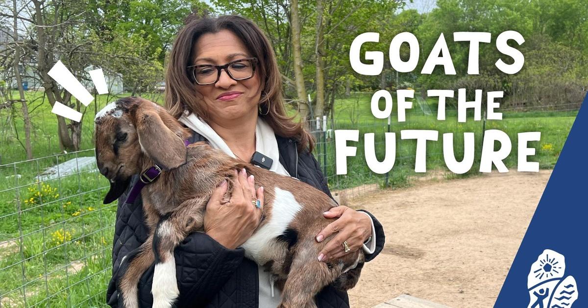 Living West Michigan | It's All Real Life at Dreamgoats! | PBS
