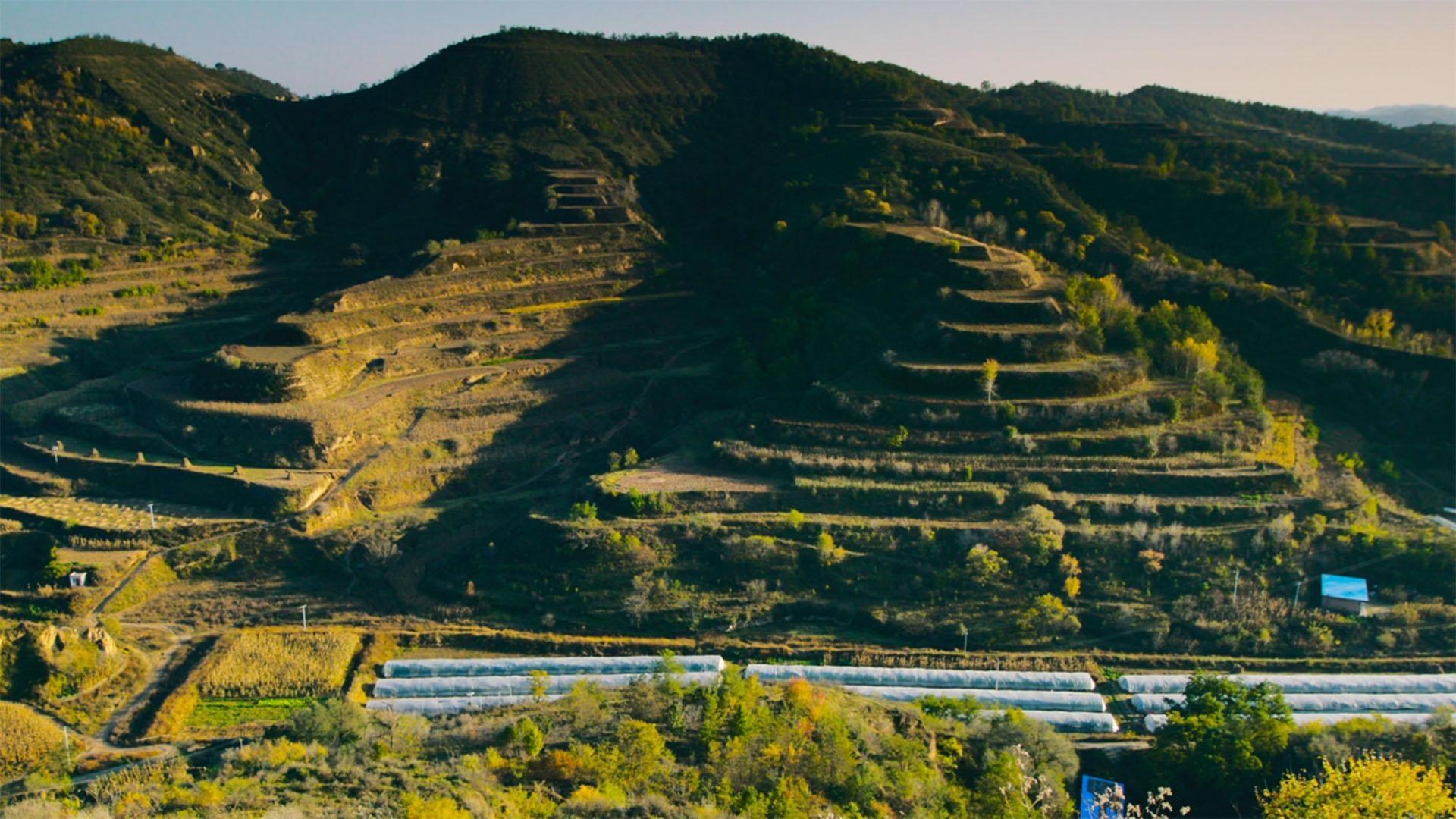 The Impact of the Loess Plateau Rehabilitation Project | The Age of ...