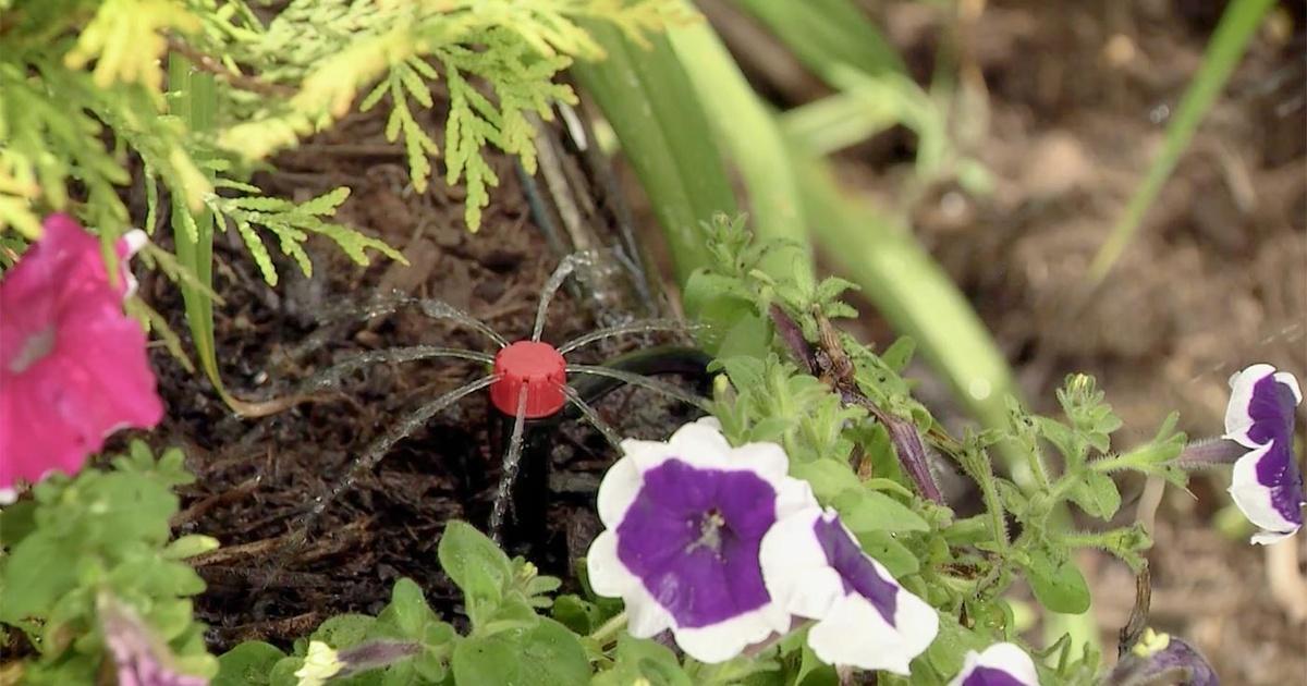 Virginia Home Grown | Getting started with drip irrigation | Season 22 ...