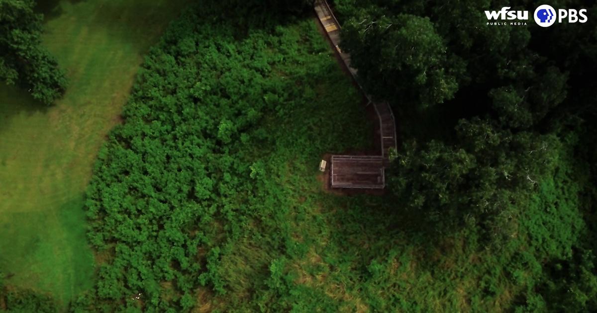 Local Routes | Bird's-eye View of Lake Jackson Mounds State Park | PBS