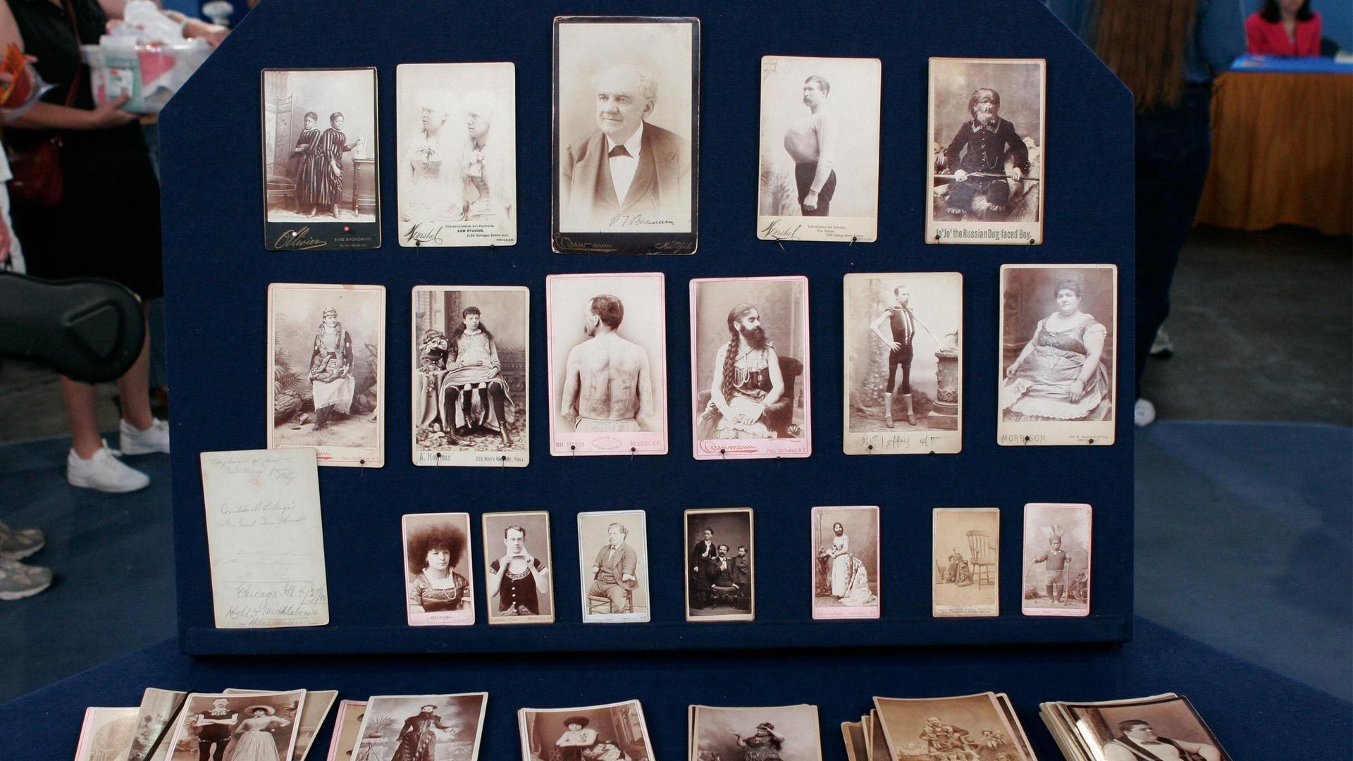 Appraisal: Circus Photographs, ca. 1875 | Antiques Roadshow | THIRTEEN ...