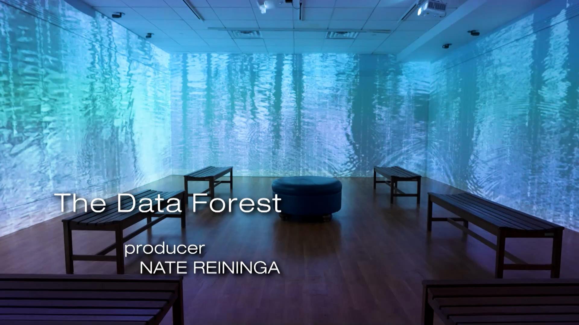 The Data Forest | State of the Arts | THIRTEEN - New York Public Media