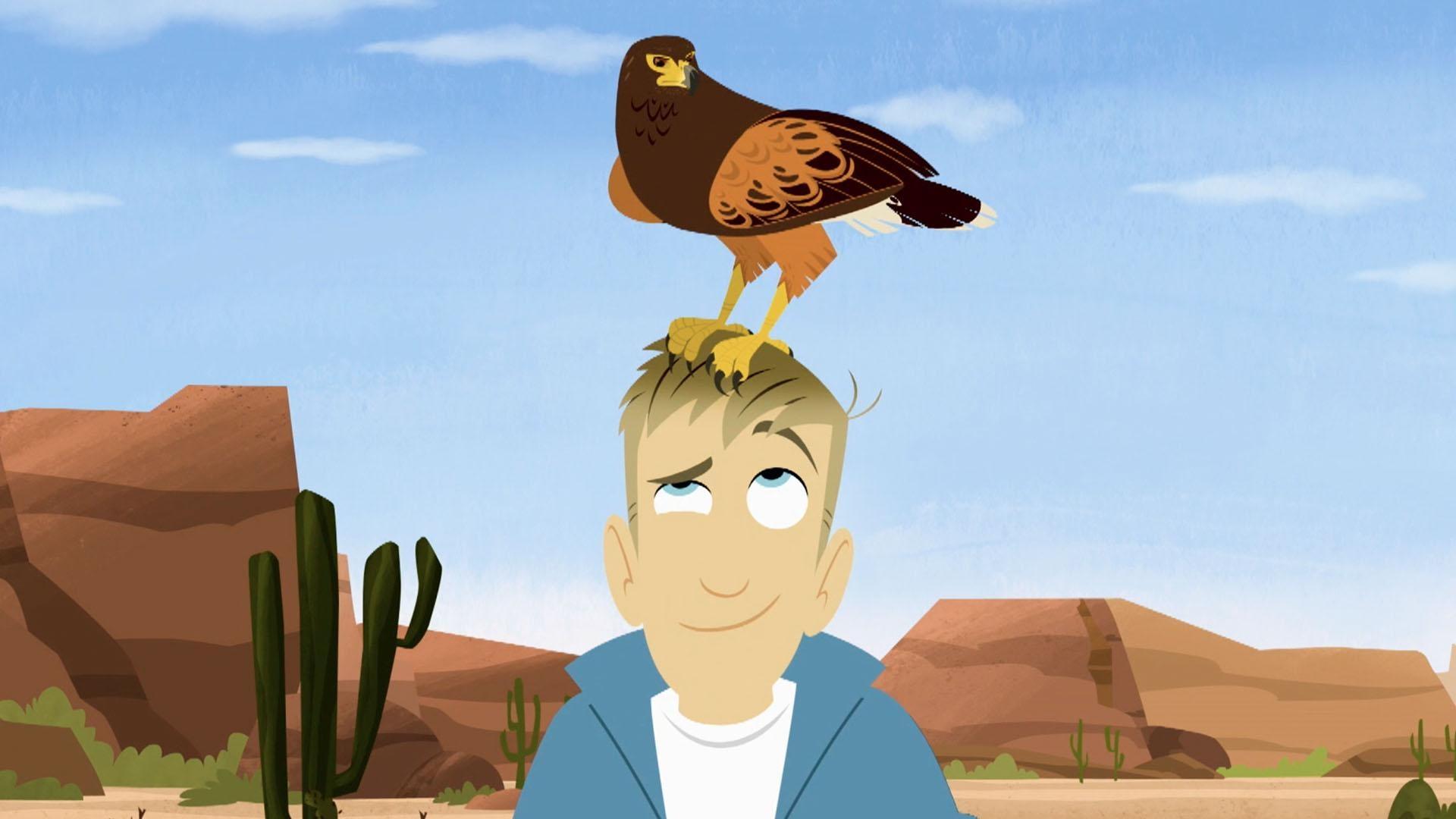 Wolf Hawk Surprise! | Watch online at WTTW.com