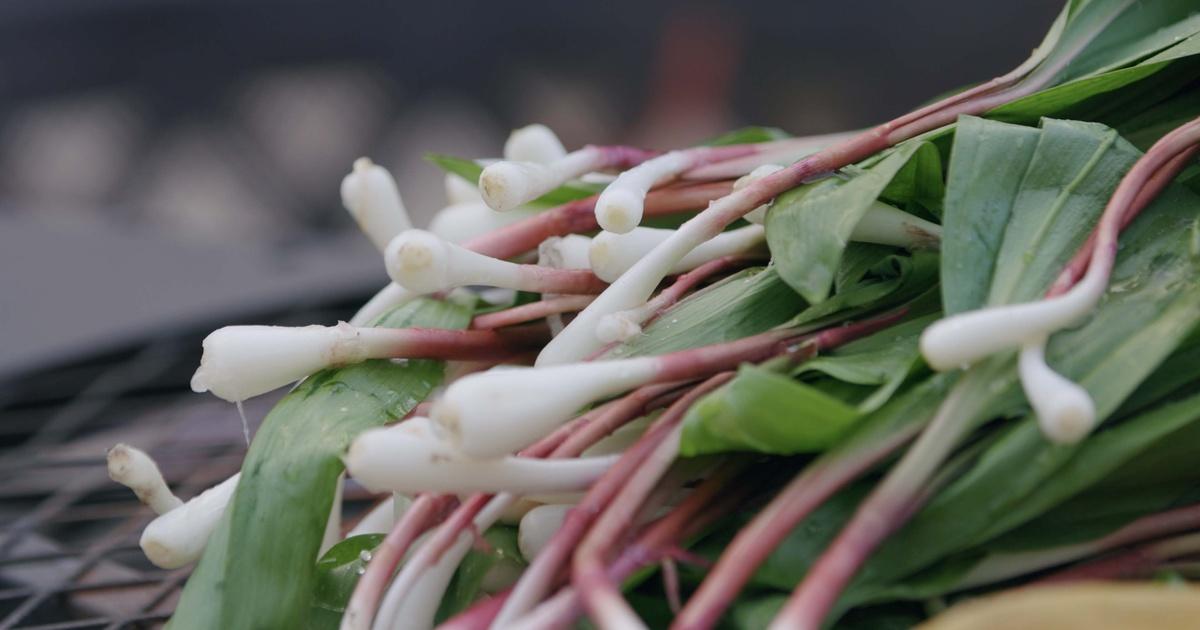 America the Bountiful | Ramps in West Virginia | Season 1 | Episode 109 | GPB