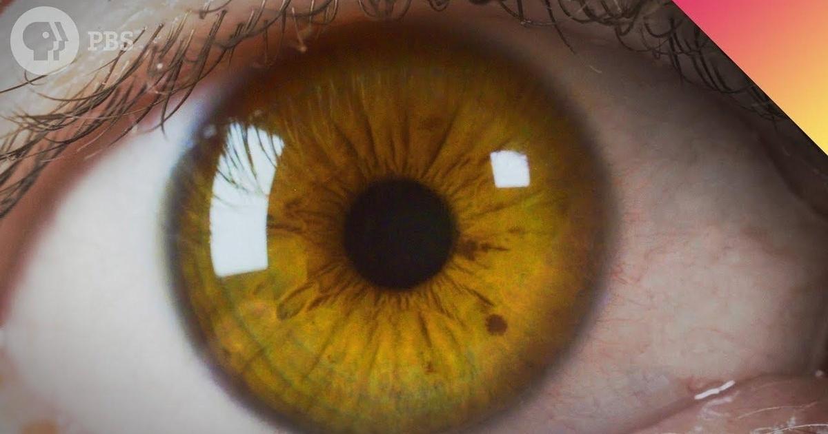 Be Smart | Is Your Eye Color Real? | Season 7 | Episode 10 | PBS