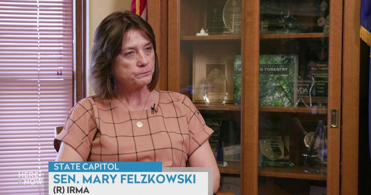 Here and Now | Sen. Mary Felzkowski on PFAS in Stella's Drinking Water ...