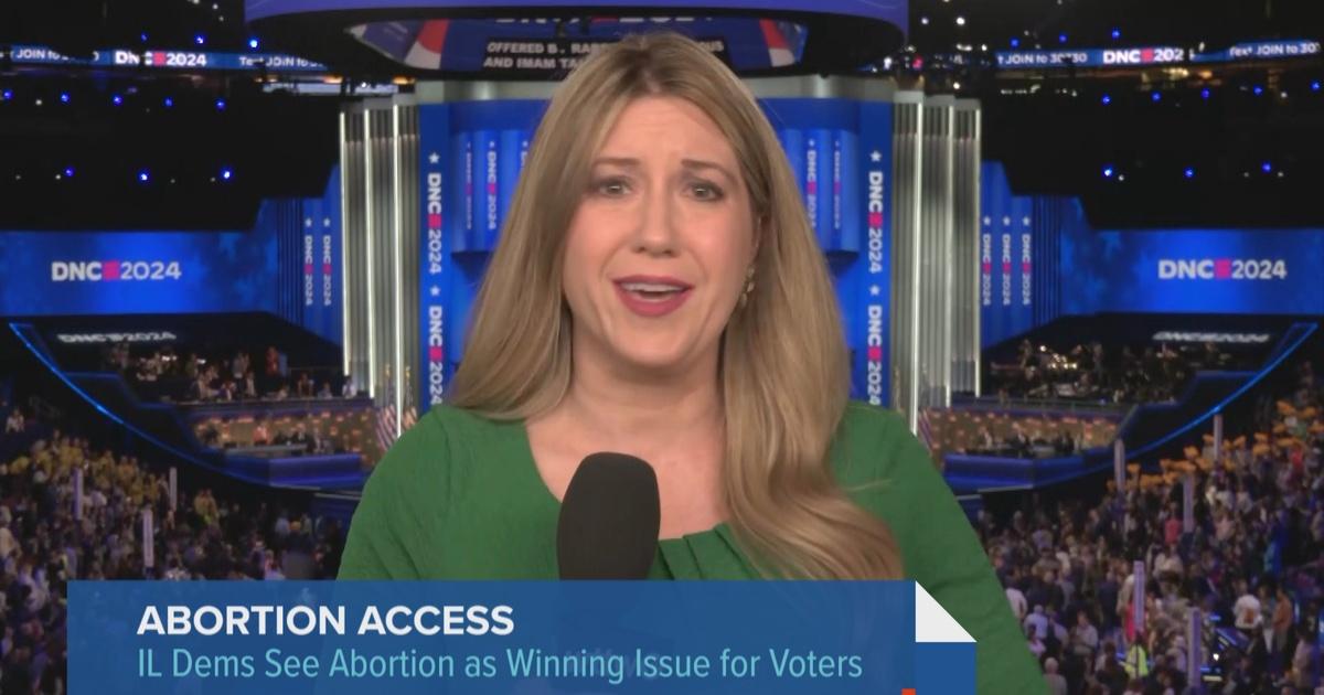 Chicago Tonight | Illinois Democrats Tout Efforts to Protect Abortion ...