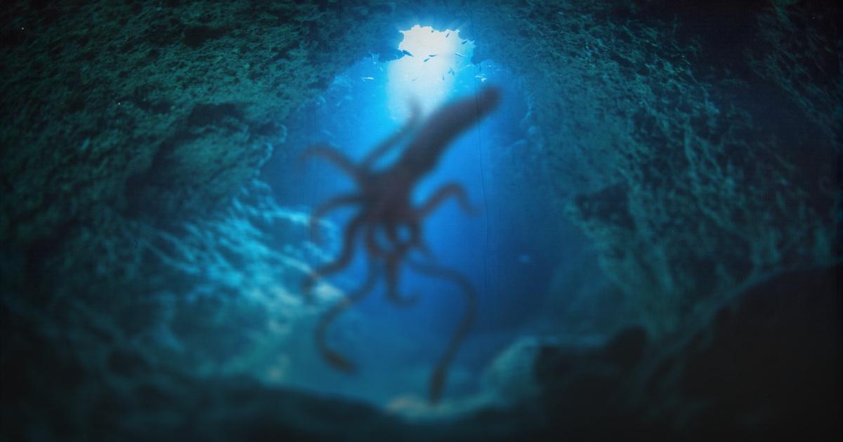 Eons | Where Are All The Squid Fossils? | Season 3 | Episode 45 | PBS