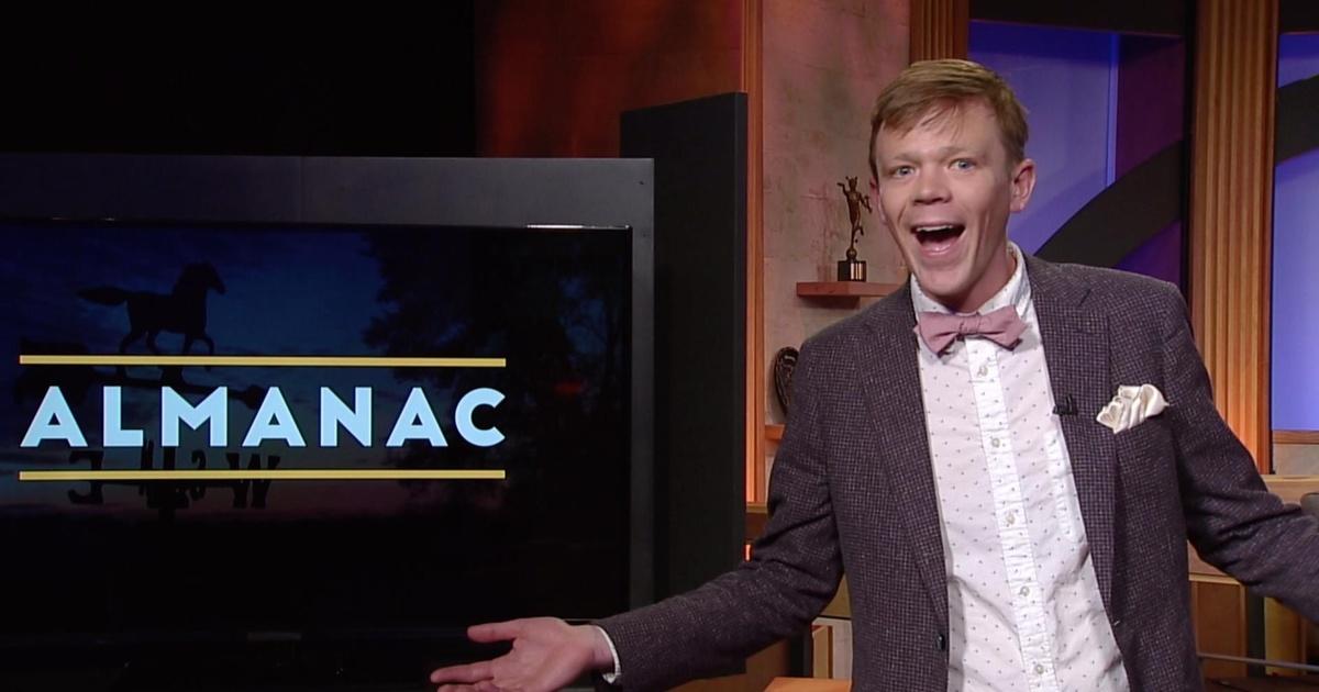 Almanac | Tane Danger Essay | The return of Short Shorts | Season 2022 ...