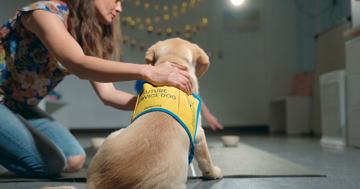 Human Footprint | Puppy IQ: How Canine Smarts Evolved with Humans ...