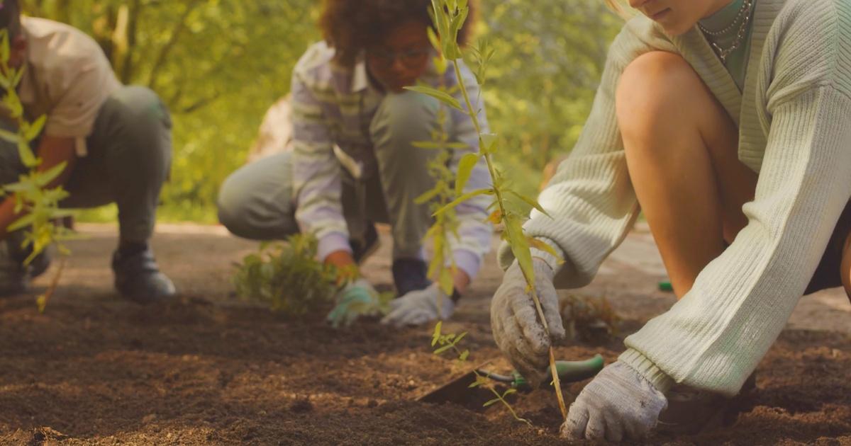 Far Out | Why Tree Planting Campaigns Don’t Work | Episode 14 | PBS